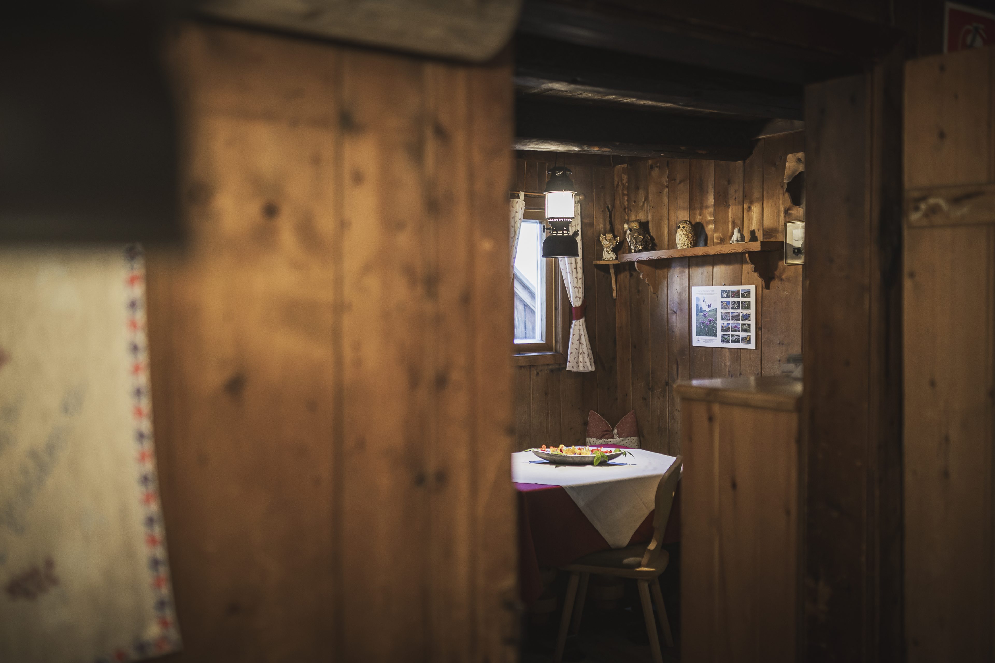 Official website of the Plose cable cars | Brixen Dolomites