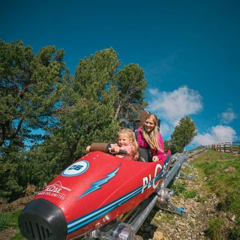 Plosebob Sommer - Plose