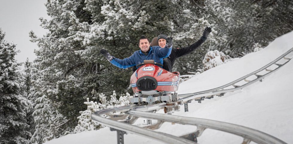 Plosebob Winter - Plose