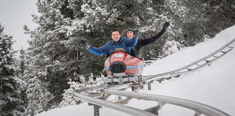 Plosebob Winter - Plose